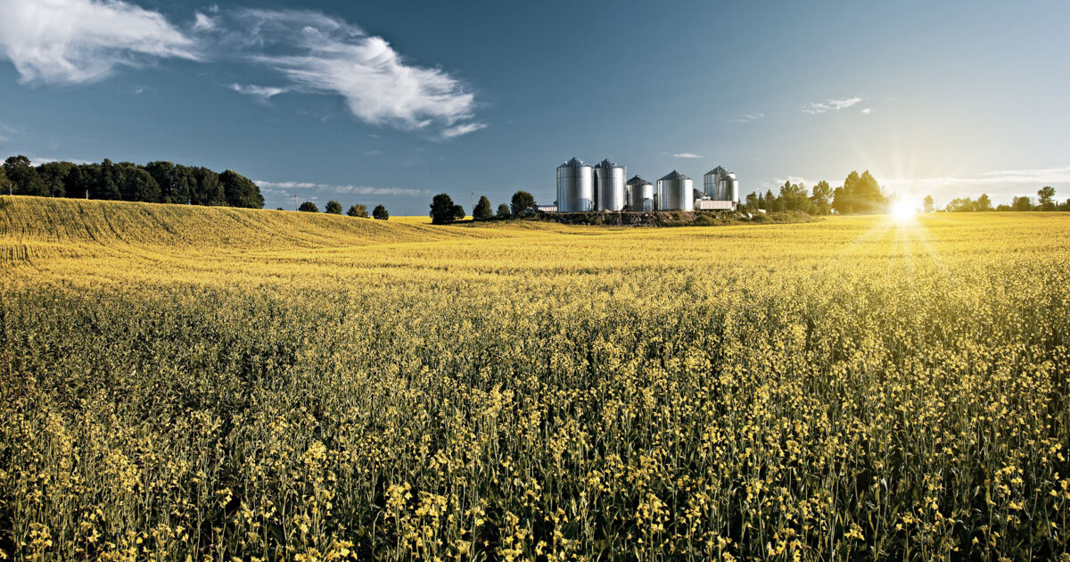 Renewable Energy Automation - Bachmann electronic GmbH