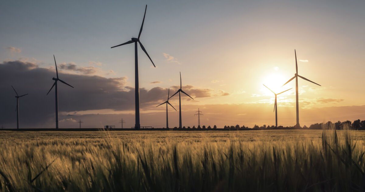 M100 in Use at Wind Farm in Northern Germany - Bachmann electronic GmbH